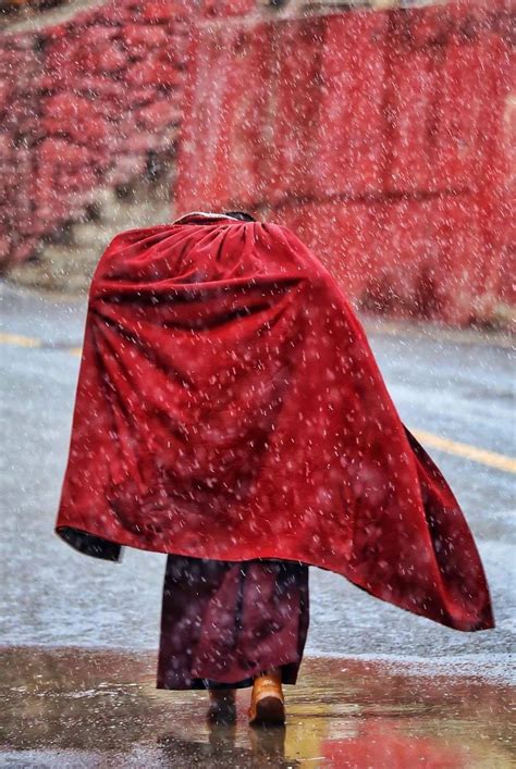 慈誠羅珠堪布 我相信居士們都相當虔誠，大家對上師、對佛法充滿了信心，信心非常充足，甚至有點偏高了。所以，如果肯修的