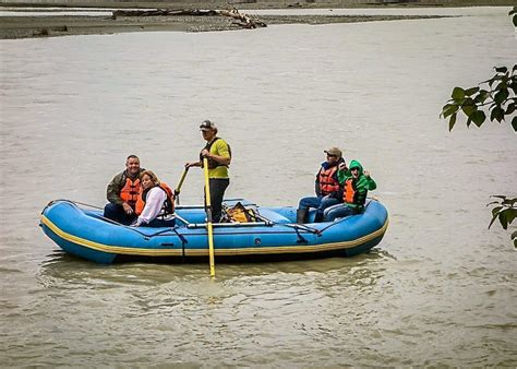 Alaska Chilkat Bald Eagle Preserve Haines Alaska Alaskaorg