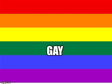 Gay Imgflip