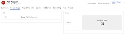 Dynamics 365 Customer Engagement File And Image Data Type Fields In