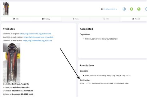 Data Image View Attribution To Organization · Issue 3515