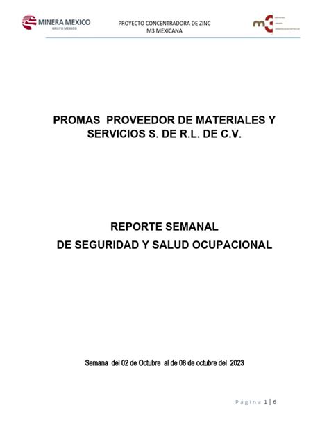 Reporte Semanal Seguridad Y Salud173 Pdf