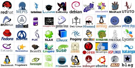 На сървърите каква дистрибуция на Linux мога да използвам