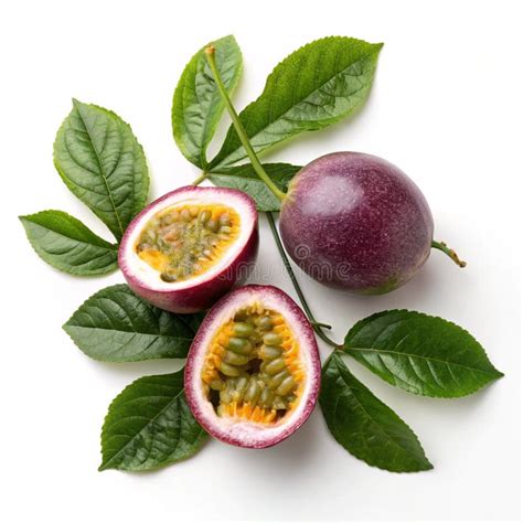 Passion Fruit With Leaves Stock Illustration Illustration Of Delicious 366700934
