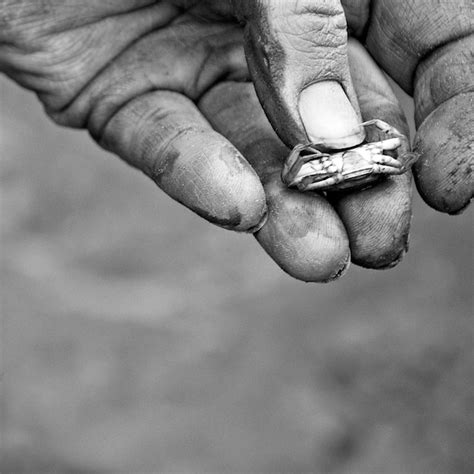 Premium Photo Extreme Close Up Of Human Eye