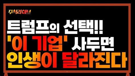 주식 트럼프와 머스크의 시너지를 받을 찐 수혜주 바로 이 기업 미친듯이 오를겁니다 트럼프 주식 트럼프 관련주 로봇