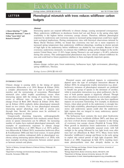 Phenological Mismatch With Trees Reduces Wildflower Carbon Budgets