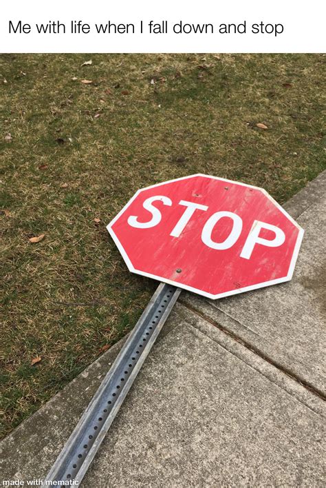 Stop Sign Meme