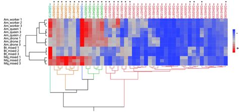 Hierarchical Clustering Analysis Of The Rpkm Counts Of 45 Selected A Download Scientific