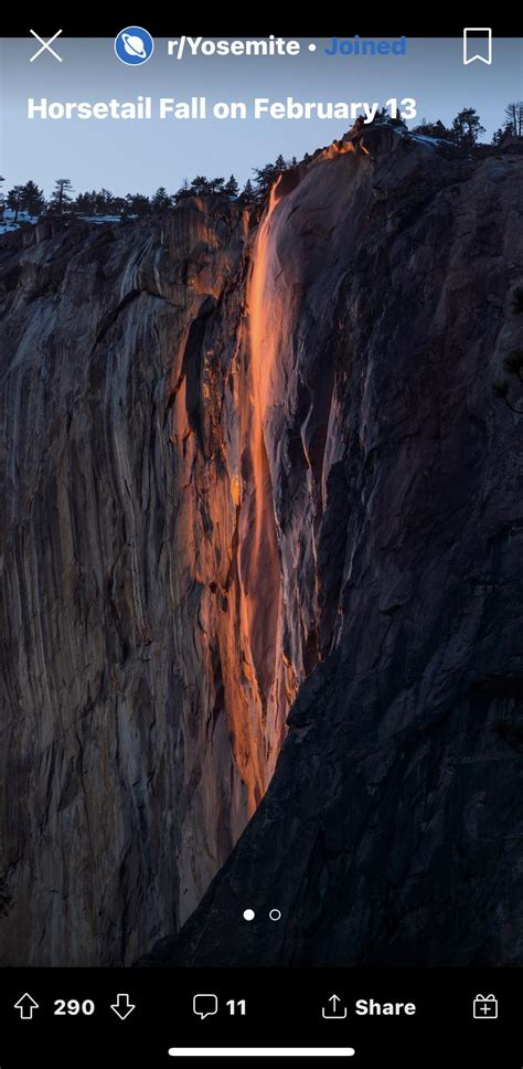 Oddly Familiar Rmildlyvagina