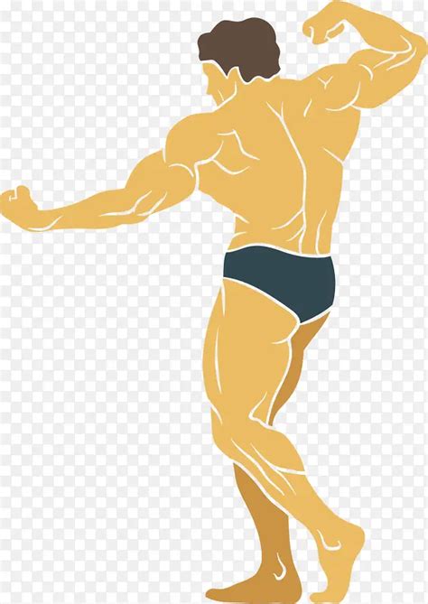 健身房黄色强壮男人png图片素材下载图片编号9455720 Png素材网