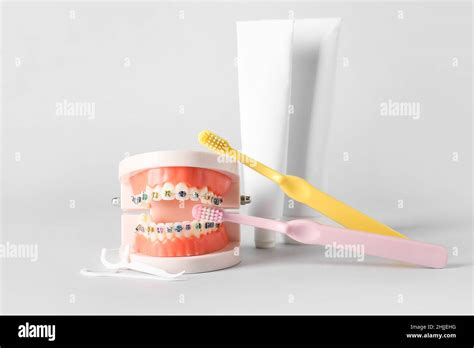 Model Of Jaw With Braces Toothpicks Brushes And Paste On White