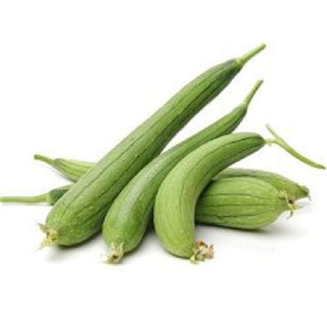 Galka Flavia Foods