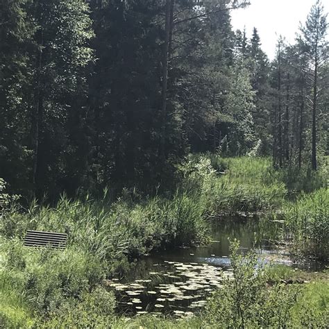 Mia Lindgren Mialindgrens Twitter