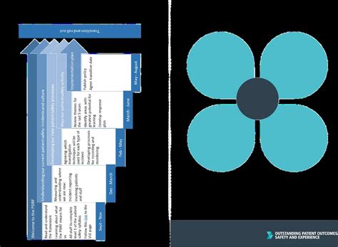 Patient Safety Incident Response Framework Psirf Booklet By Southern Health Nhs Foundation