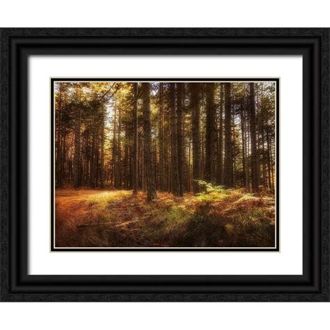 Artemiadi Dora 18x15 Black Ornate Wood Framed With Double Matting