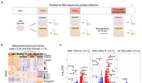 Justin Croft On Linkedin Adrenomedullin Promotes Interneuron Migration
