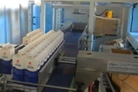 Side Load Case Packer Yanmao