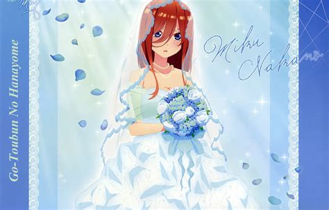 Wallpaper Neckline The Bride Veil Wedding Dress Beads On The Neck