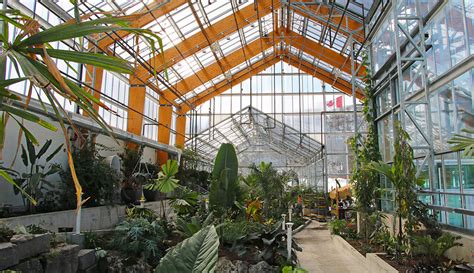 Greenhouse Cliffside Park Rent At Scott Fleming Blog