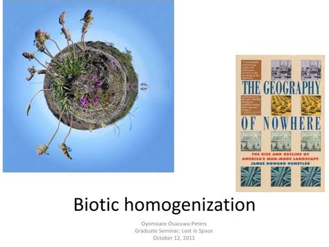What Is Homogenization Geography At Madeline Lampert Blog