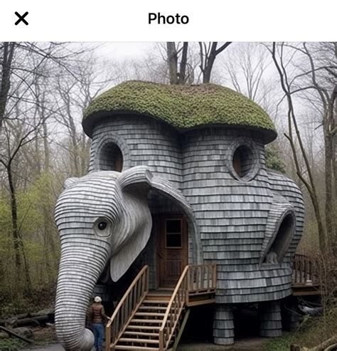 Casa Elefante Unique Elephant Shaped House In The Woods Cool Weird