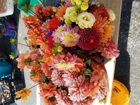 Bluekrystals Homepage On