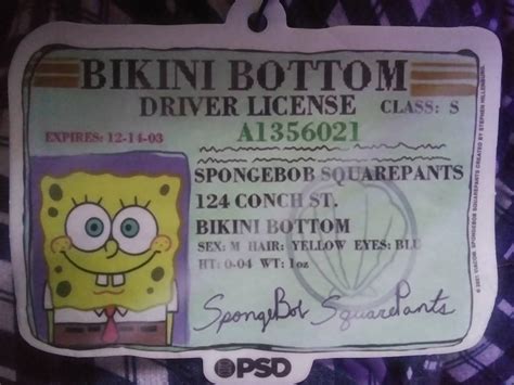 Spongebobs Drivers License By Macbalmo On Deviantart
