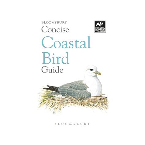 Coastal Bird Guide The Treasury