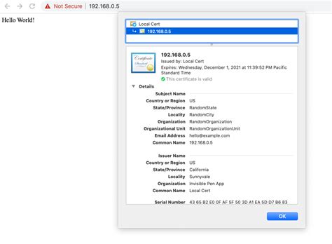 net err cert common name invalid with ip address · issue 13