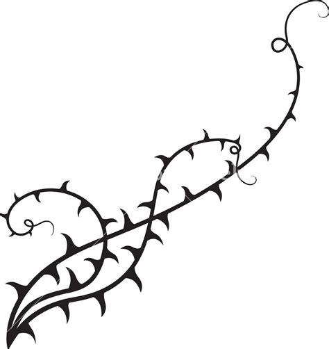 Vine Thorn Drawing Rose Thorns Ivy Leaf Drawings Wreath Clipart