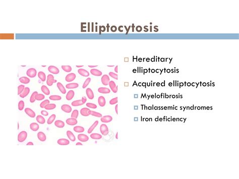 Ppt Meet The Red Cell Powerpoint Presentation Free Download Id6651534