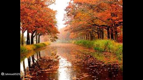 خندیدن گل ماهور نی نوازی