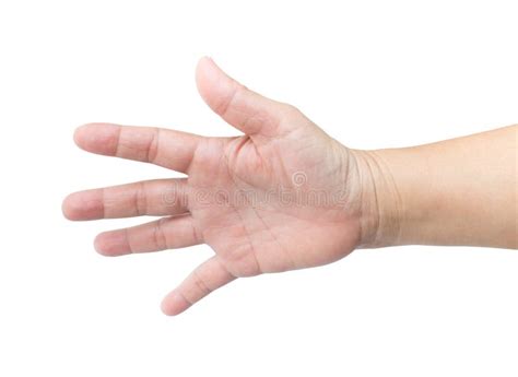 Female Hand And Fingers Showing Number Five Isolated On White Stock