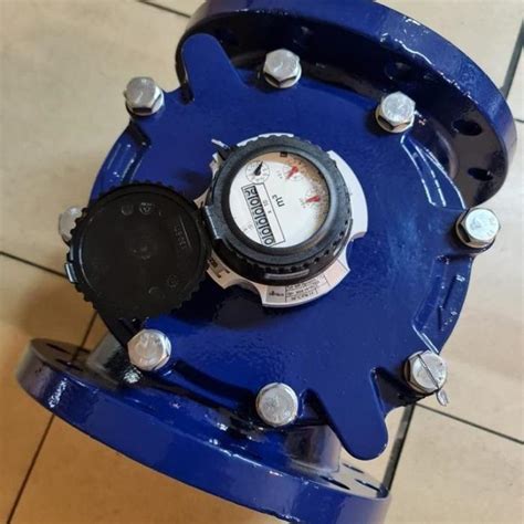 Jual Flow Meter Merk Sensus Type Wp Dynamic Sizes 8 Inch