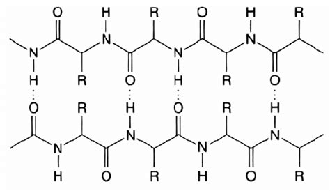 Chemical Structure Of Keratin From Chicken Feather Download