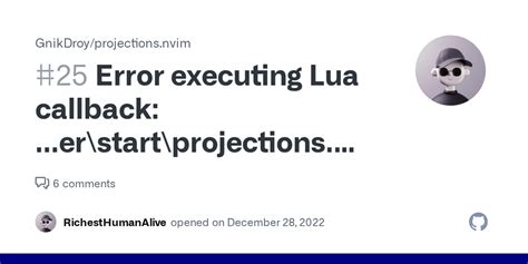 Error Executing Lua Callback Erstartprojectionsnvimluaprojectionsvalidatorslua14