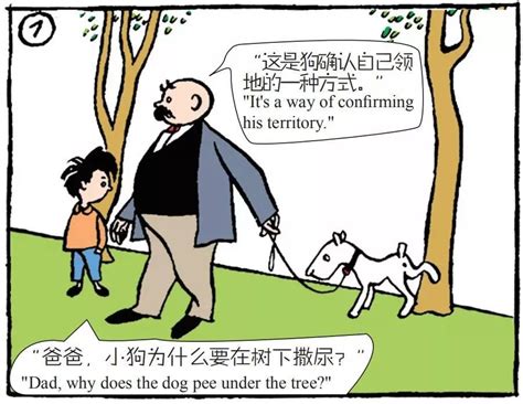 【父与子】漫画连载：不许动，抢劫！ 搜狐大视野 搜狐新闻