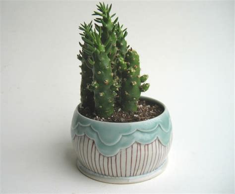 Silver Lining Ceramics Succulent Planter Flower Planters Planters