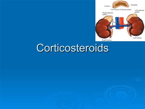 Steroids Pptsteroids Pptsteroids Pptsteroids Ppt