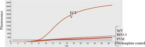 Specificity Of The Rt Rpa Assay The Specific Fluorescent Signals Were