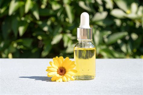 자연 배경으로 녹색 잎에 대한 투명한 점 적기 병에 자연 금송화 오일 스킨 케어 용 허브 화장품 오일 또는 아로마 테라피 용 에센셜 오일 모형 이미지입니다 선택적 초점 0