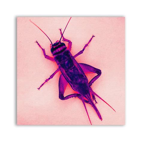 Bug Patch Cemeterycrypt