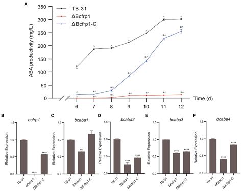 Frontiers Combined Transcriptome And Proteome Analysis Of Bcfrp1