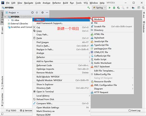 Idea Mybatis Javaweb