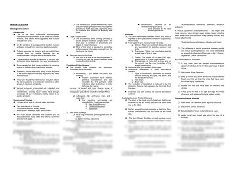 Human Evolution Notes Biology Standard Level Ib Thinkswap