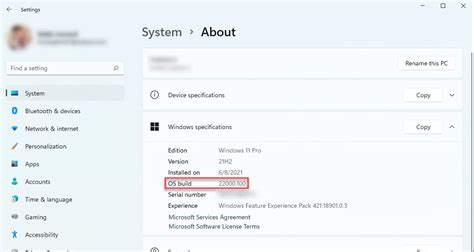 checking if you re flighting windows insider program microsoft learn