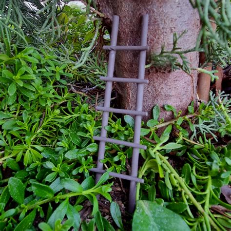 Metal Ladder Rust Jopaz