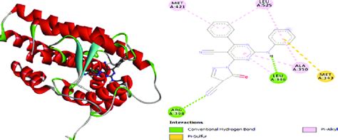 3d And 2d Representations Of Compound 54 In The Active Pocket Of The Er Download Scientific