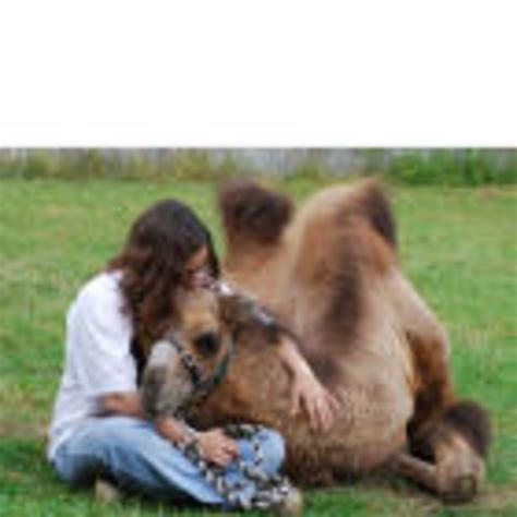 Michaela Meyer It Sachbearbeiter Evangelisch Lutherische Kirche In Bayern Xing